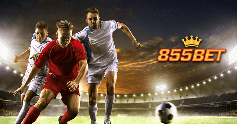855bets Review - My Blog